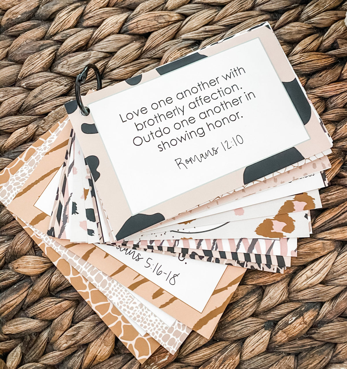 DIGITAL Scripture for Teachers | Shop Teachers in the Word